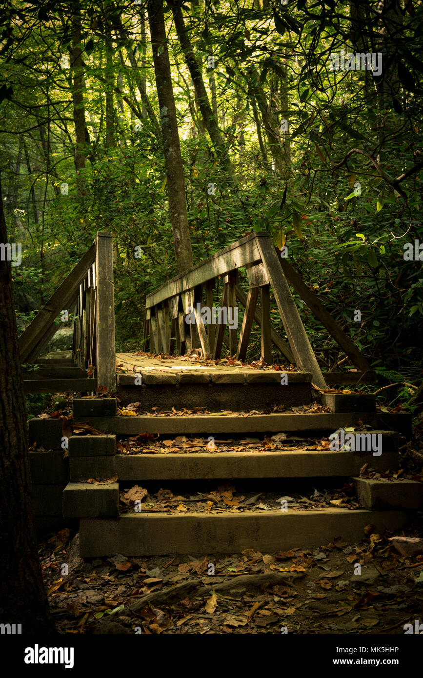 forest pedestrian bridge on a path used to hike for leisure and fun ...