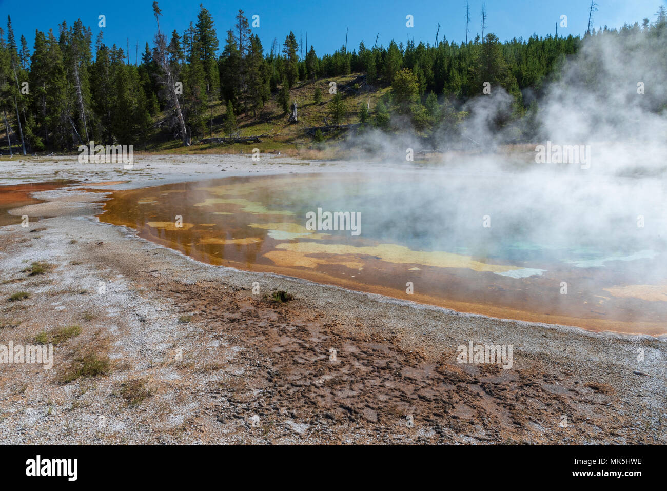 Looking at edge of colorful hot spring with steam rising up off surface ...