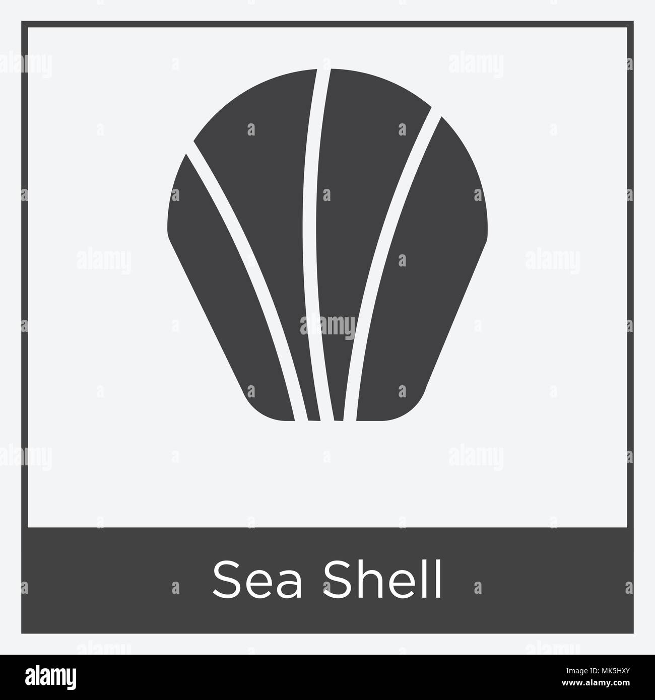 Sea Shell icon isolated on white background with gray frame, sign and ...