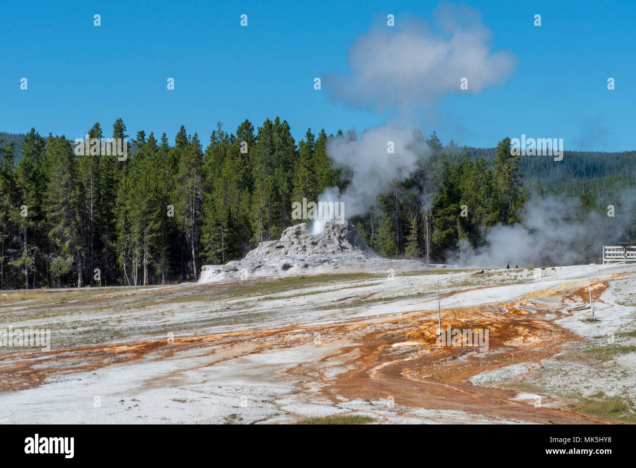 Steam cloud hi-res stock photography and images - Alamy