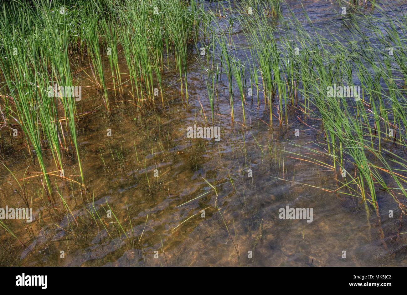 Bowstring Lake is Part of the Leech Lake Native American Reservation in ...