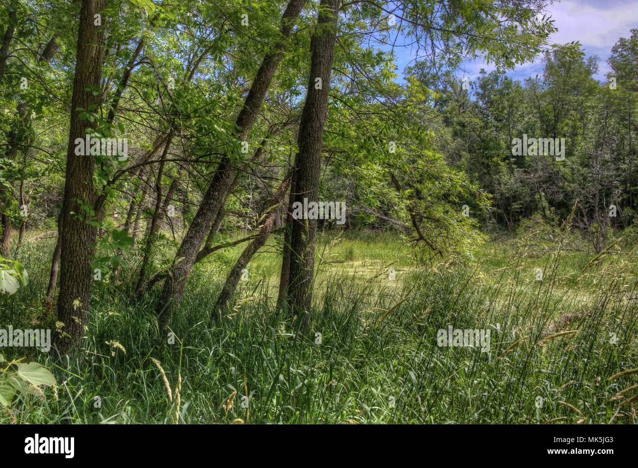 Bowstring Lake is Part of the Leech Lake Native American Reservation in ...
