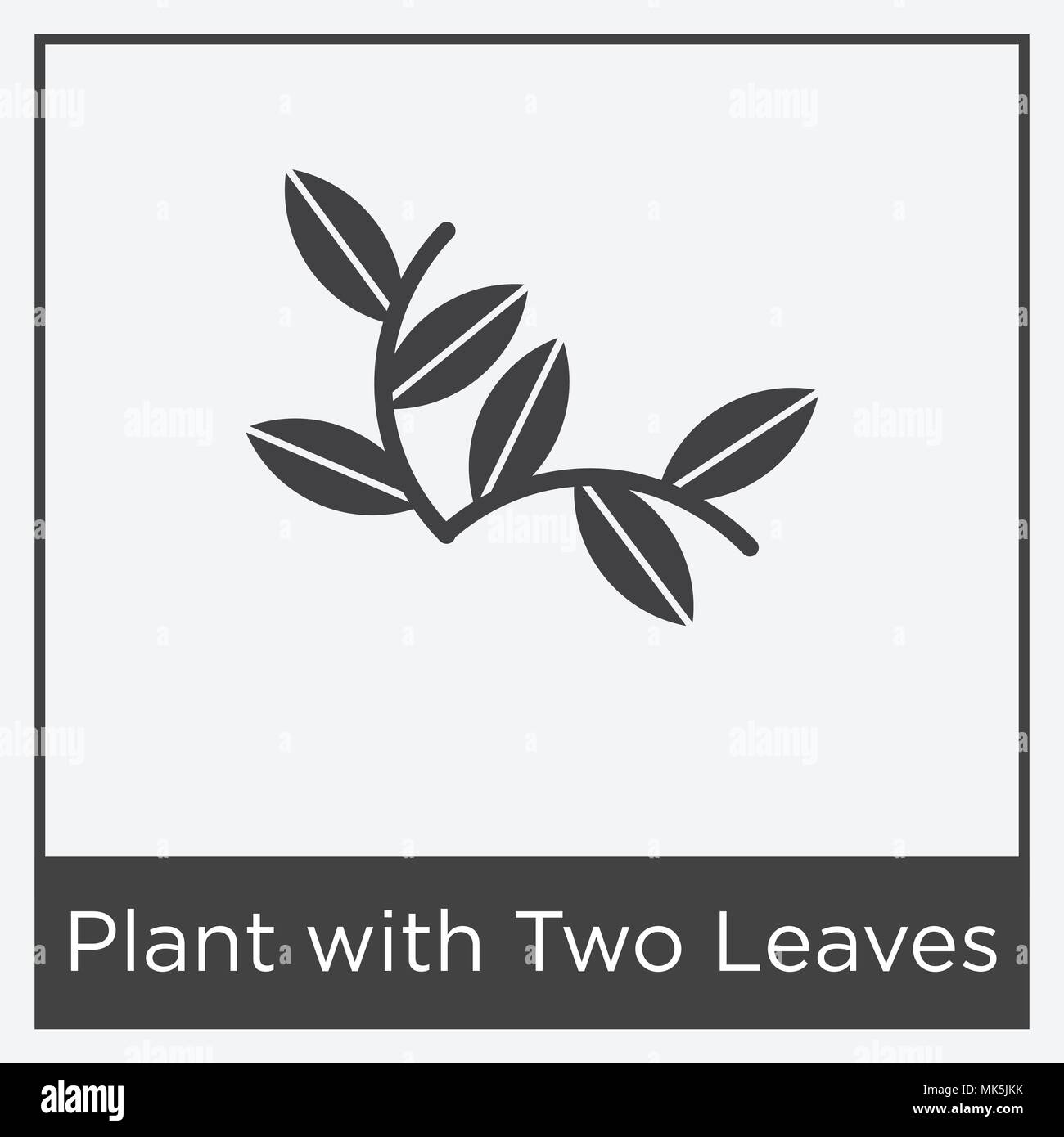 Plant with Two Leaves icon isolated on white background with gray frame ...