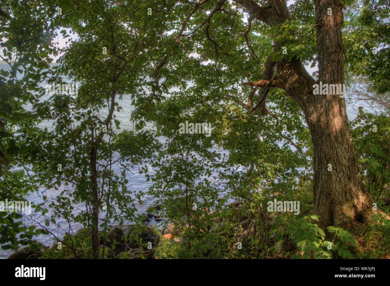 Bowstring Lake is Part of the Leech Lake Native American Reservation in ...