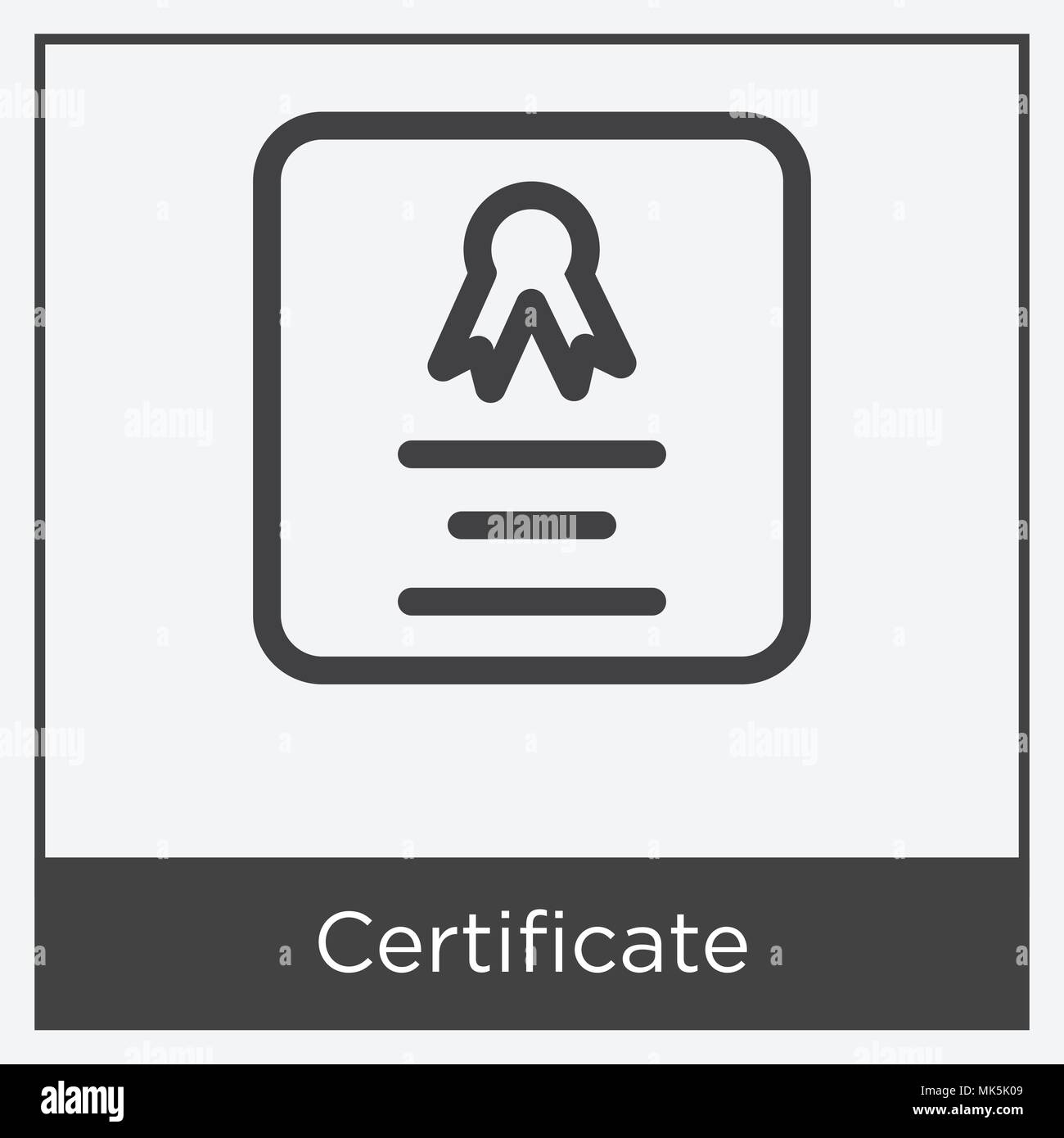 Certificate icon isolated on white background with gray frame, sign and ...