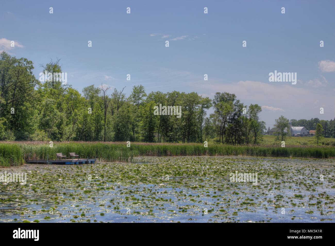 Bowstring Lake is Part of the Leech Lake Native American Reservation in ...