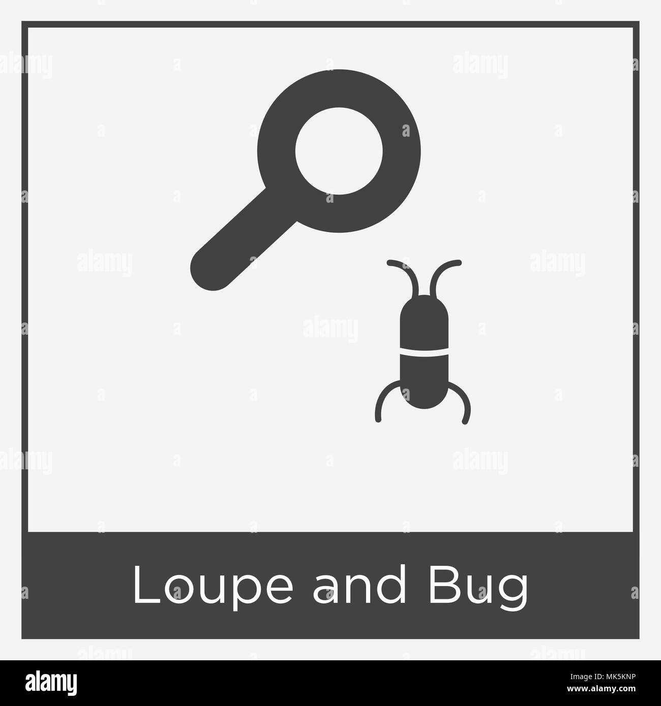 Loupe and Bug icon isolated on white background with gray frame, sign ...