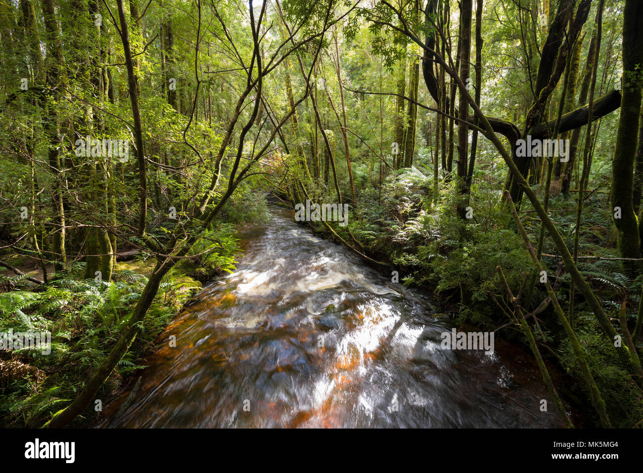 Nelson river hi-res stock photography and images - Alamy