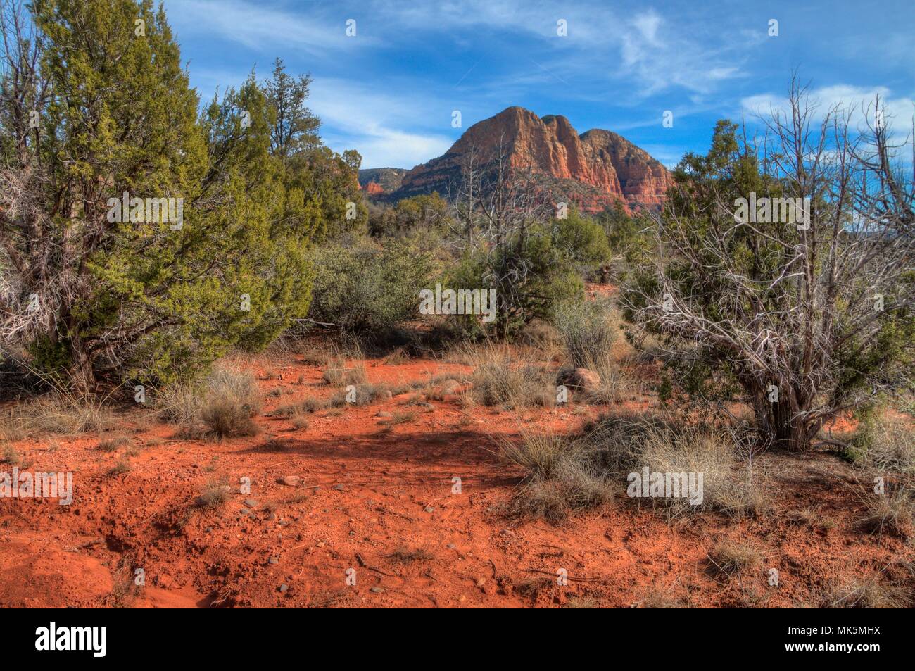 Sedona, Arizona has beautiful orange rocks and pillars in the desert ...