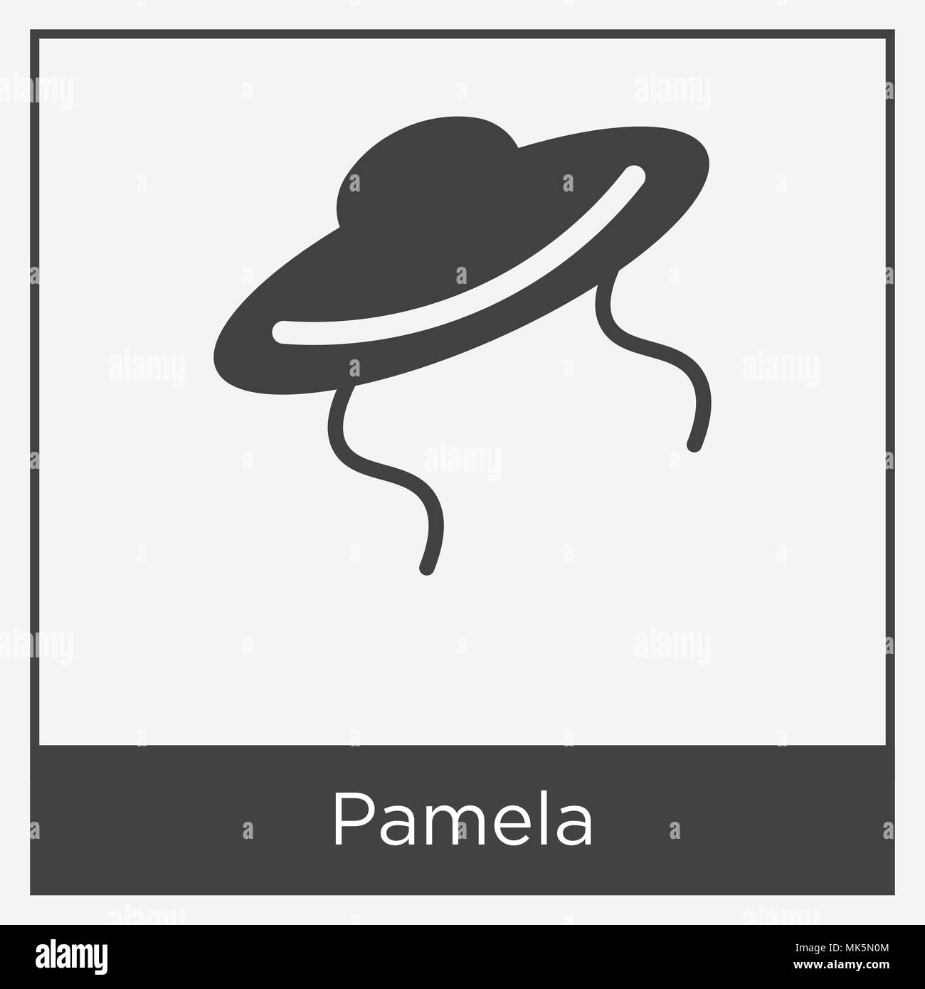 Pamela icon isolated on white background with gray frame, sign and ...