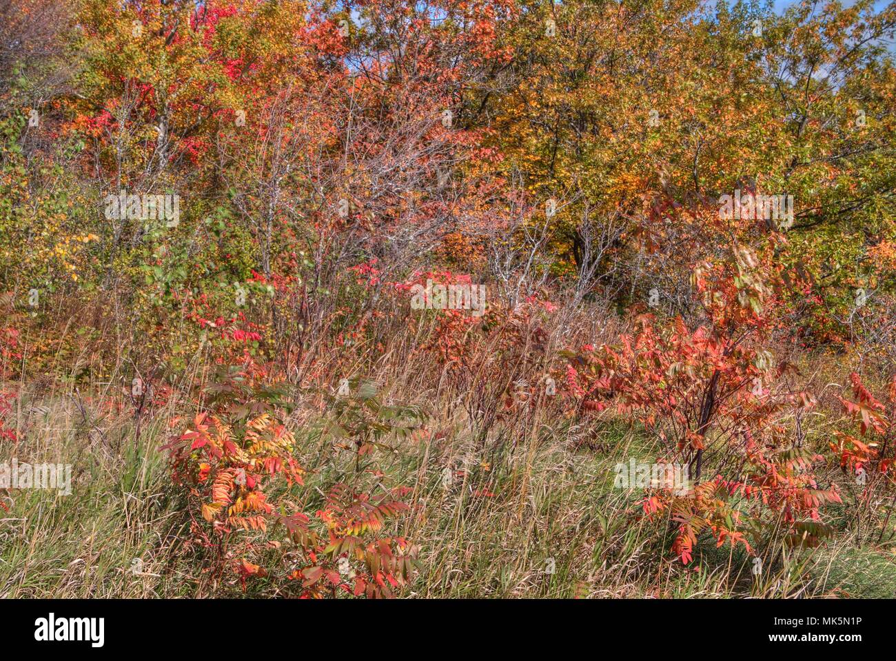 Enger Tower is a tourist destination and scenic view in Duluth ...