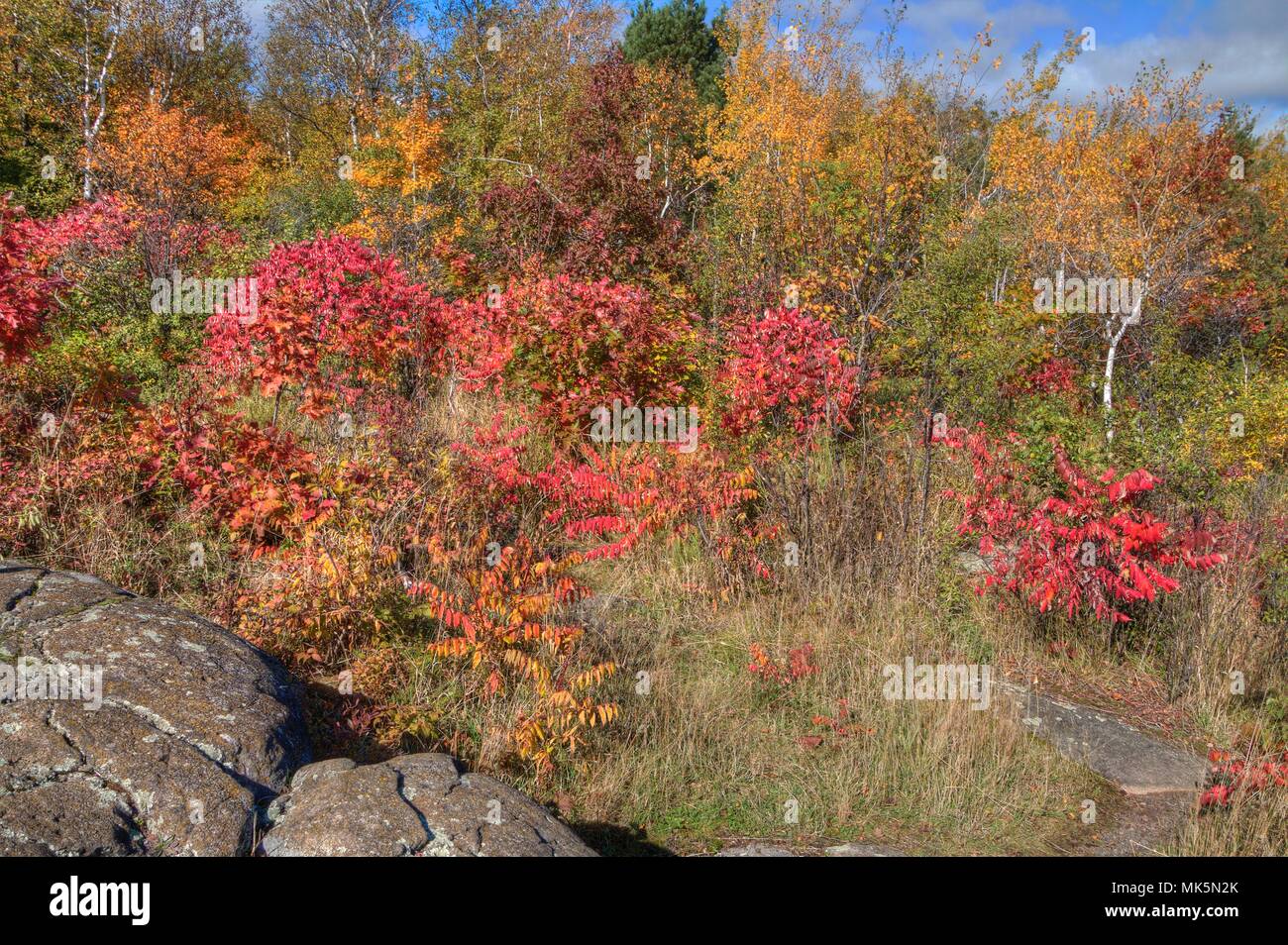 Enger Tower is a tourist destination and scenic view in Duluth ...