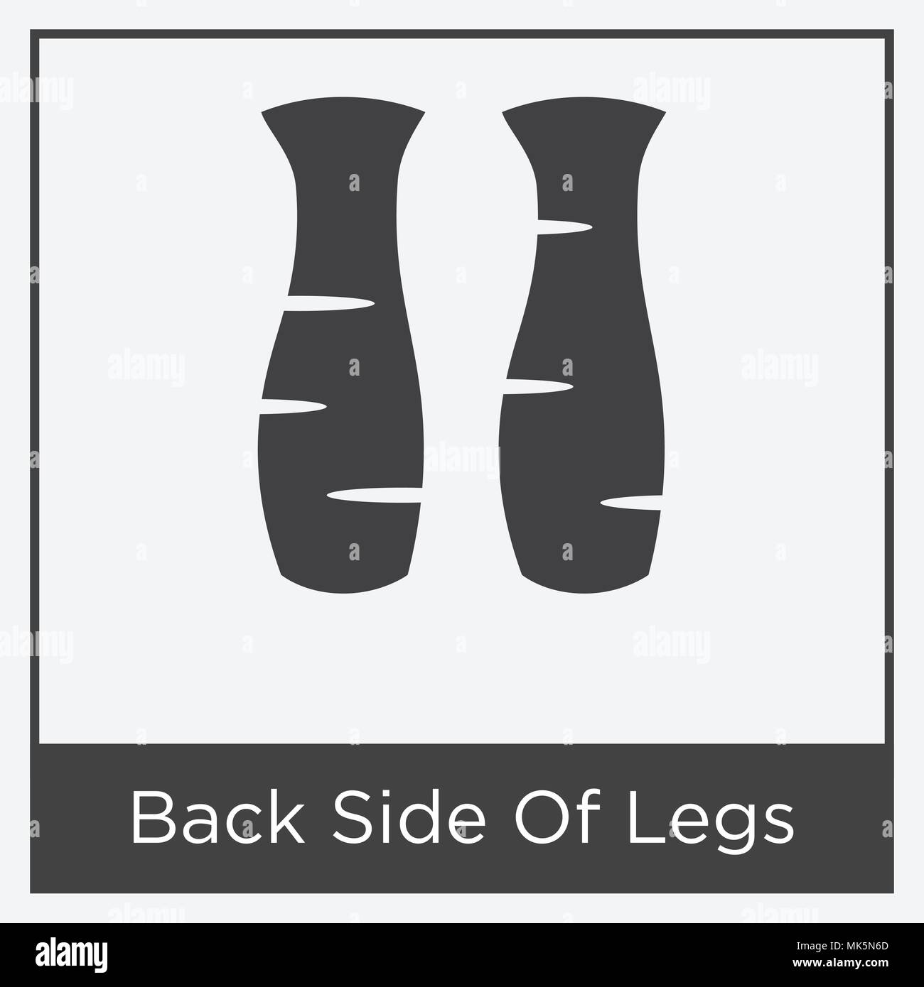 Back Side Of Legs icon isolated on white background with gray frame ...