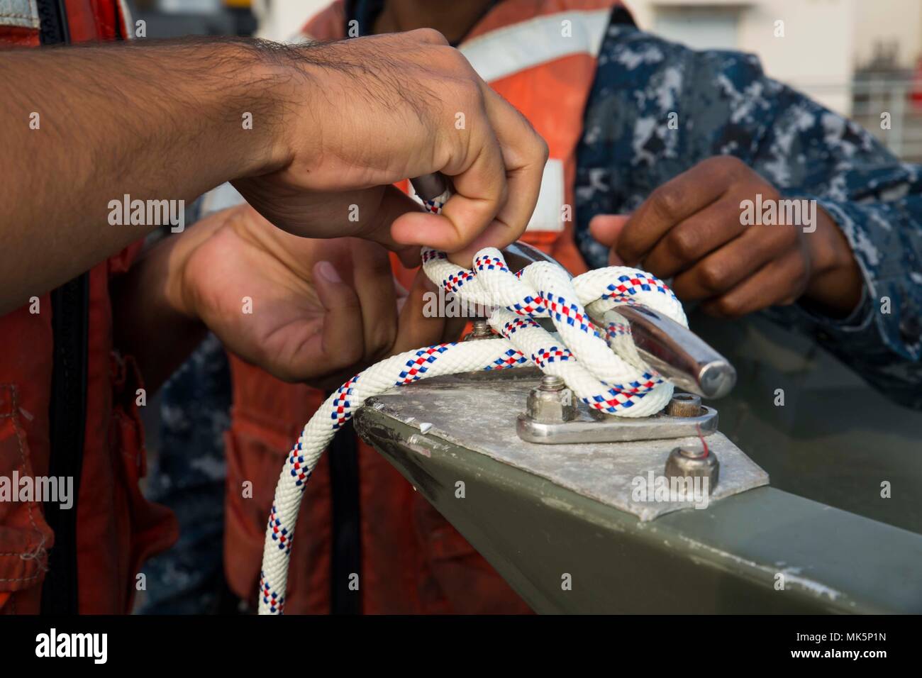 Seaark marine hi-res stock photography and images - Alamy