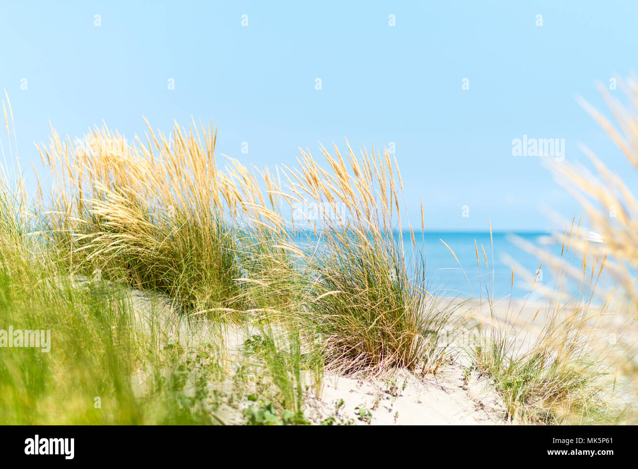 Alberoni dunes hi-res stock photography and images - Alamy