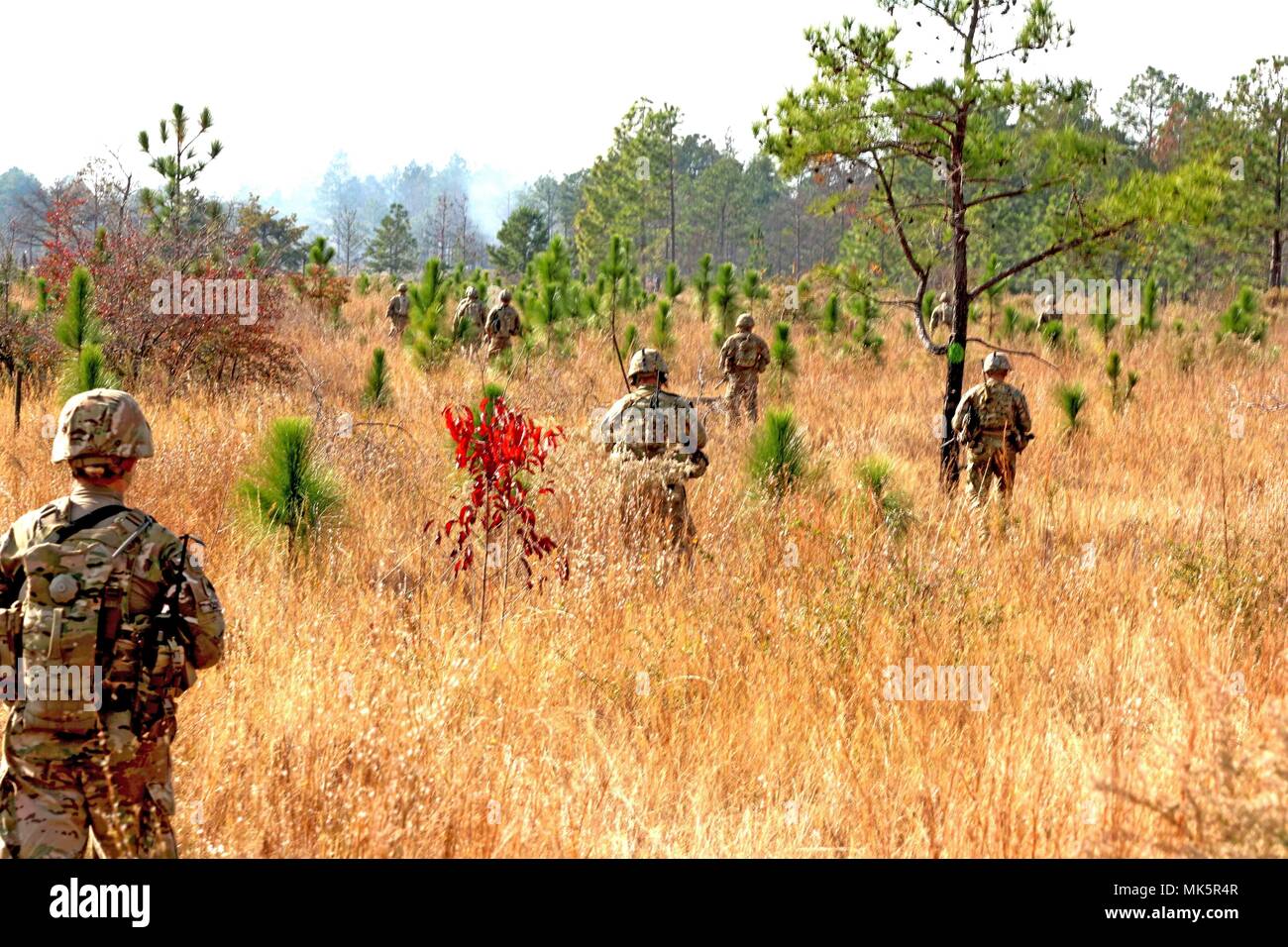 Fire brigade staff assisting hi-res stock photography and images - Alamy