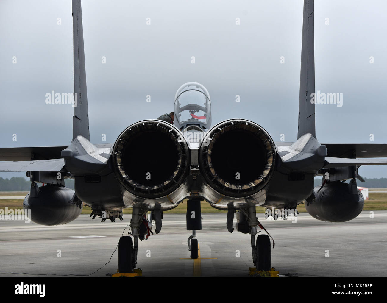 A U.S. Air Force F-15E Strike Eagle from the 389th Fighter Squadron ...