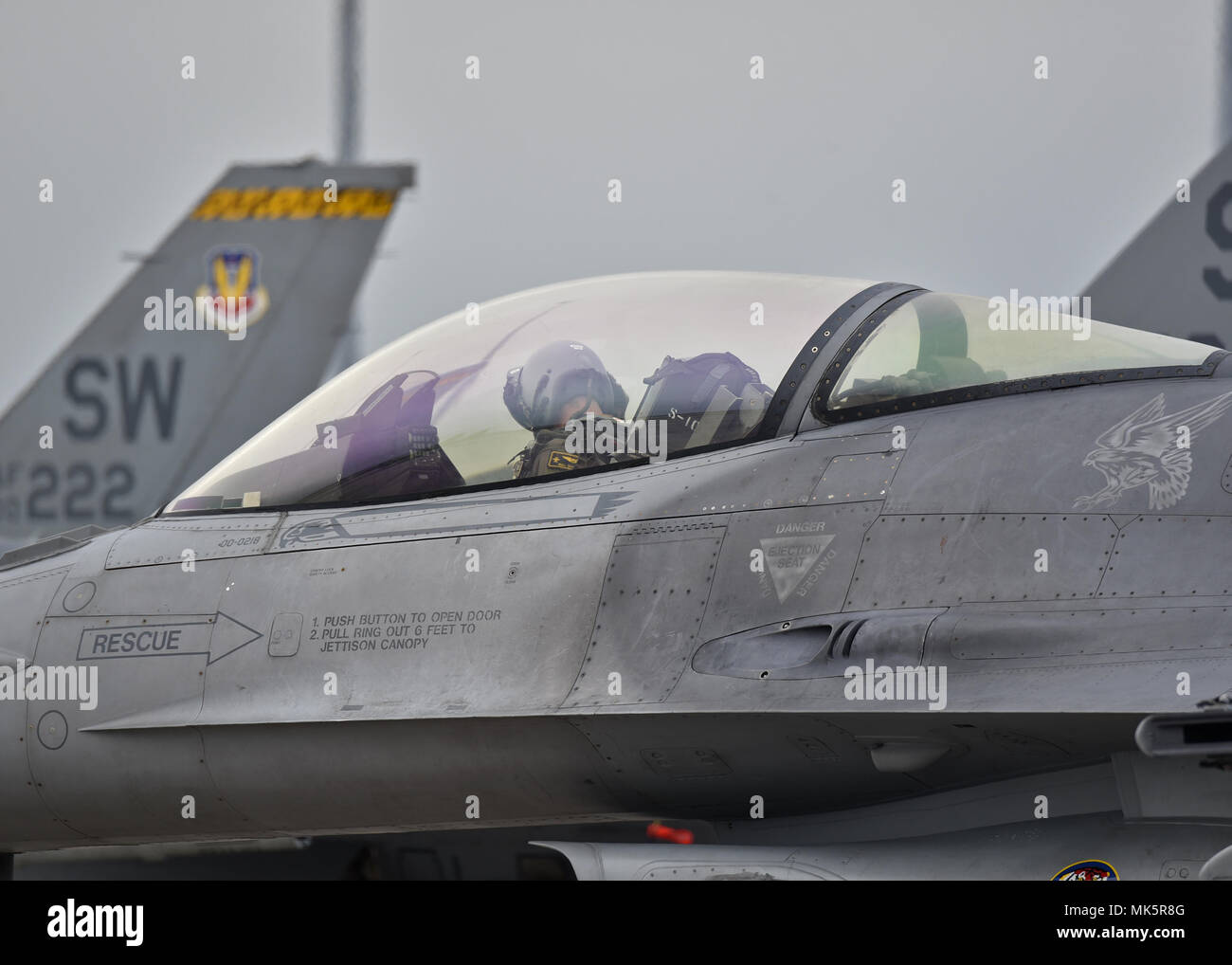 A U.S. Air Force pilot from the 79th Fighter Squadron at Shaw Air Force ...