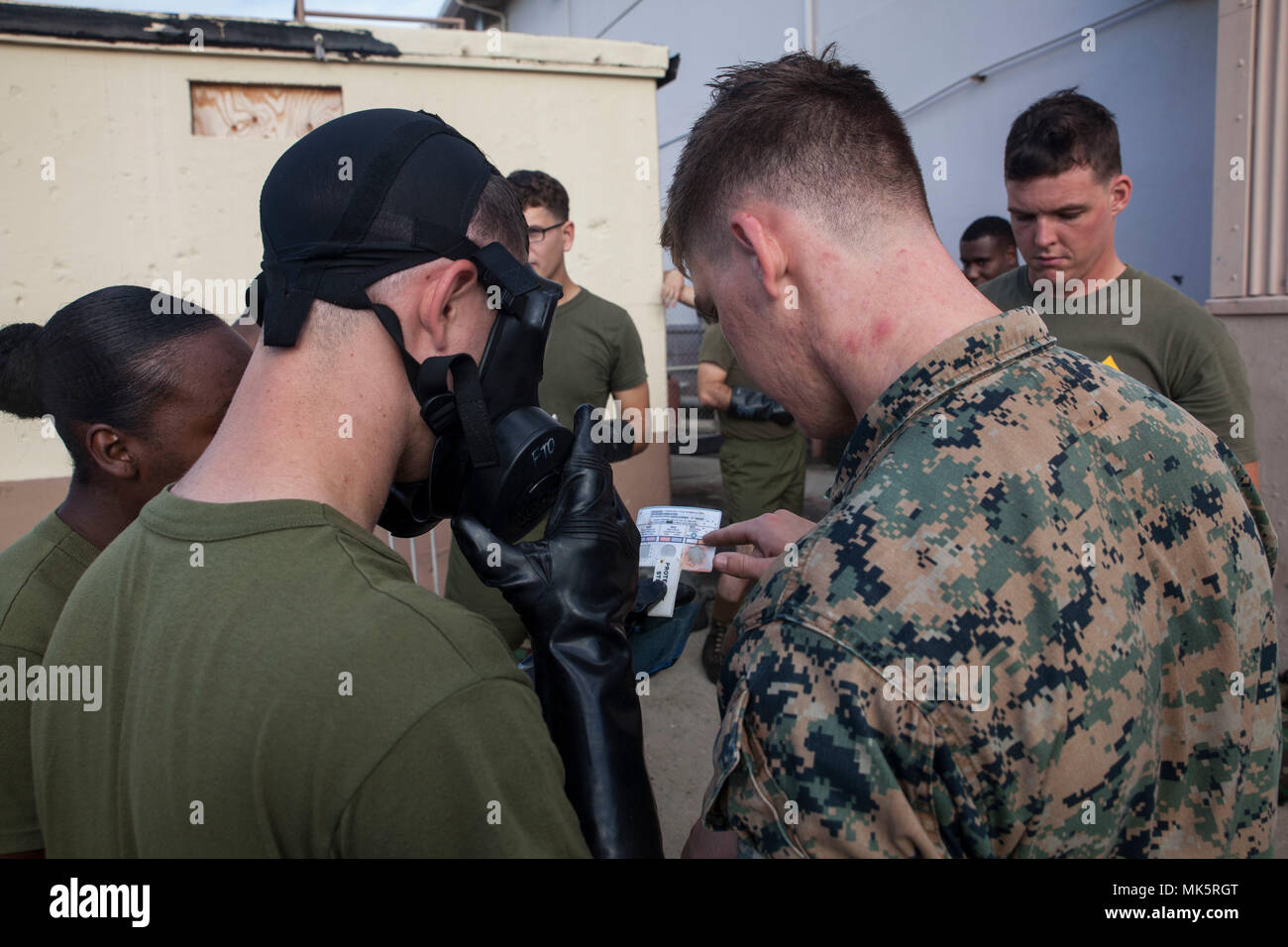 Detailed aircraft decontamination High Resolution Stock Photography and Images - Alamy