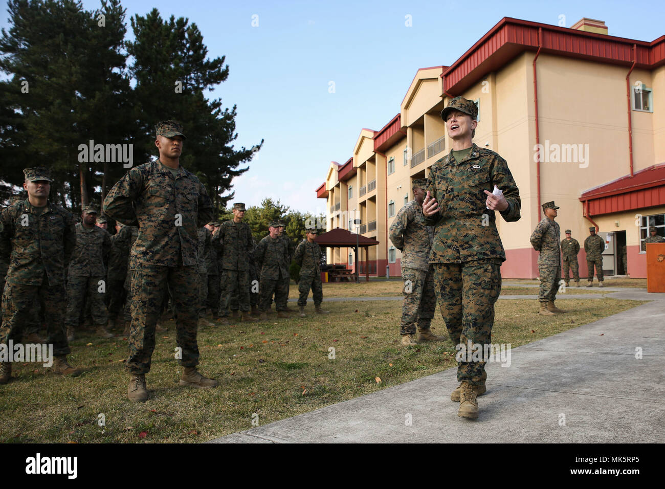 Col. Maura Hennigan, commanding officer of Combat Logistics Regiment 3 ...