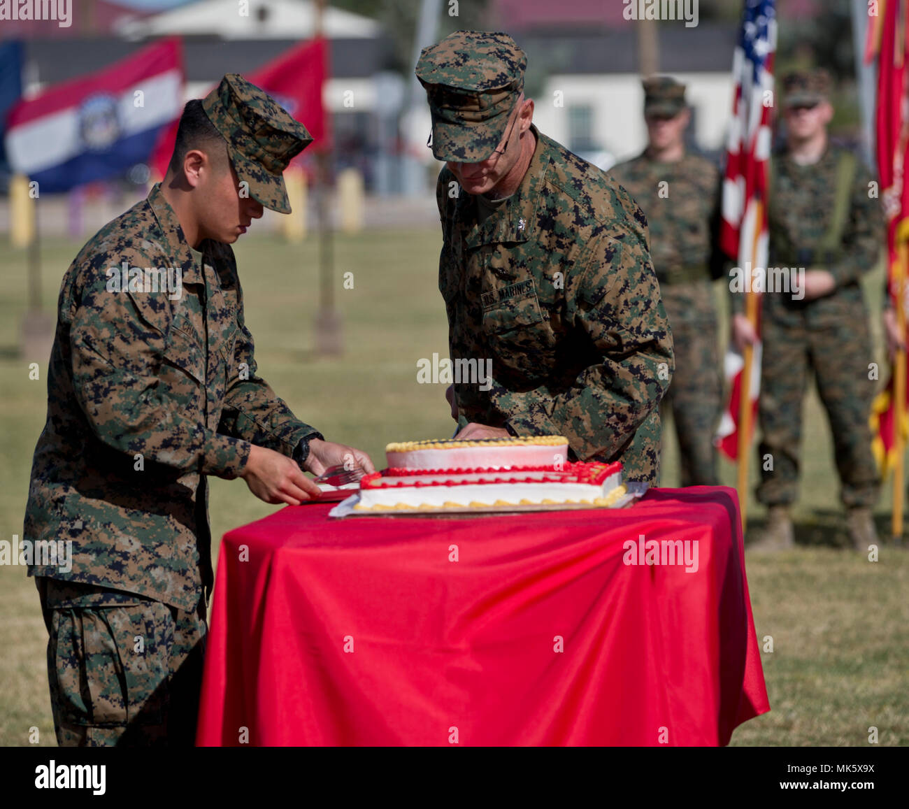 U.S. Marine Corps Col. David A. Suggs Commanding Officer of Marine ...