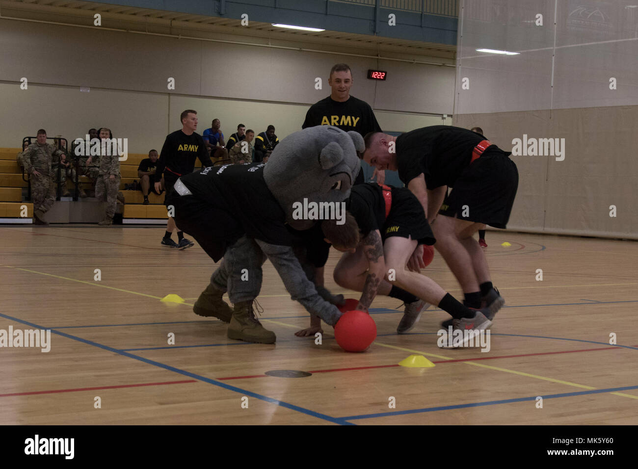 Sgt. Rocky, 3rd Infantry Division's mascot, sticks his nose in the ...