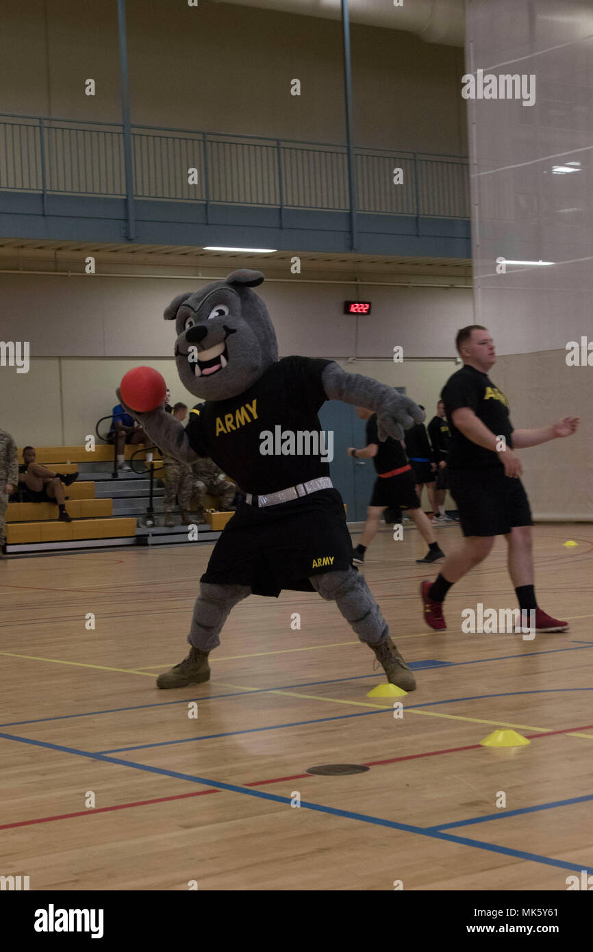 Sgt. Rocky, 3rd Infantry Division's mascot, gets in on the action ...