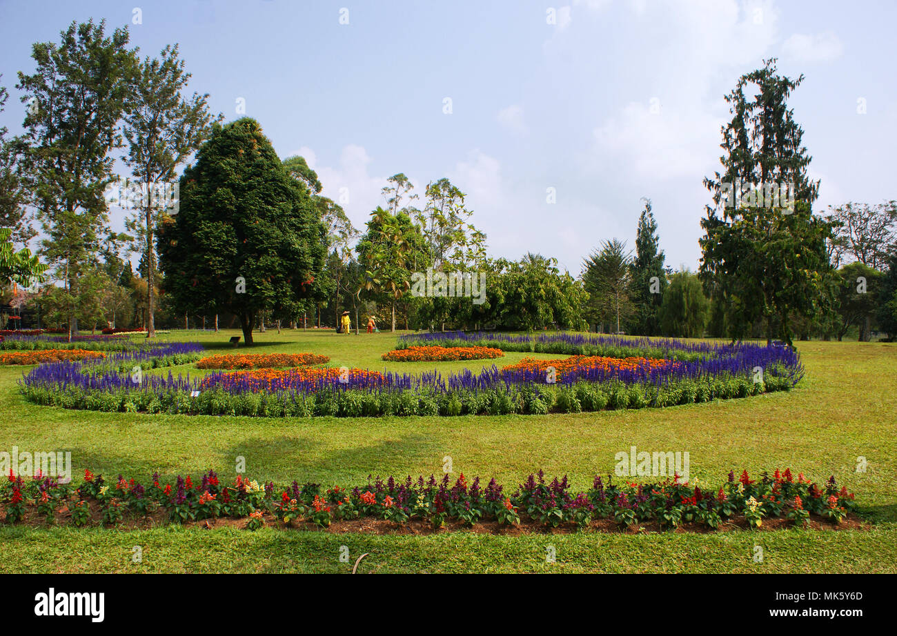 Taman Bunga Nusantara Garden Park, Cipanas, Bogor, West Java, Indonesia ...