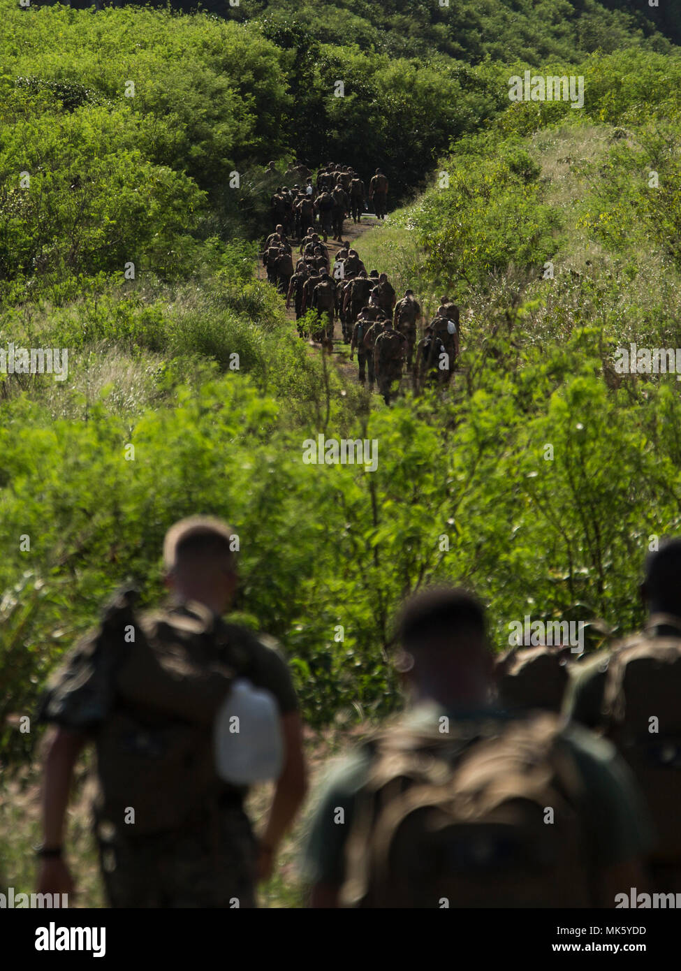 Service members from Marine Corps Air Station (MCAS) Iwakuni, hike up ...