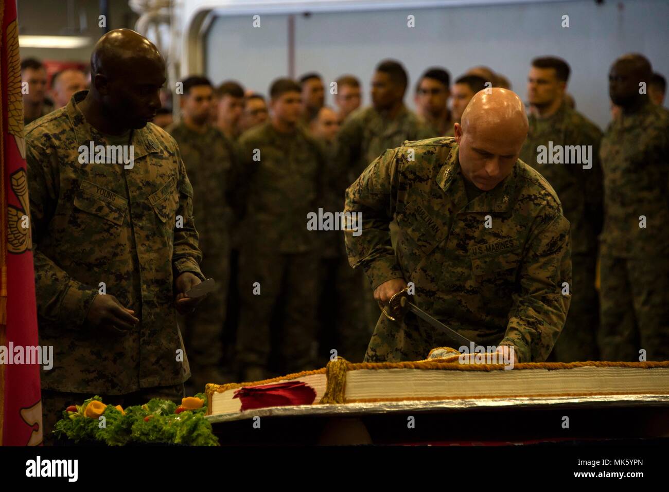 ATLANTIC OCEAN (Nov. 10, 2017) Col. Farrell J. Sullivan, commanding ...