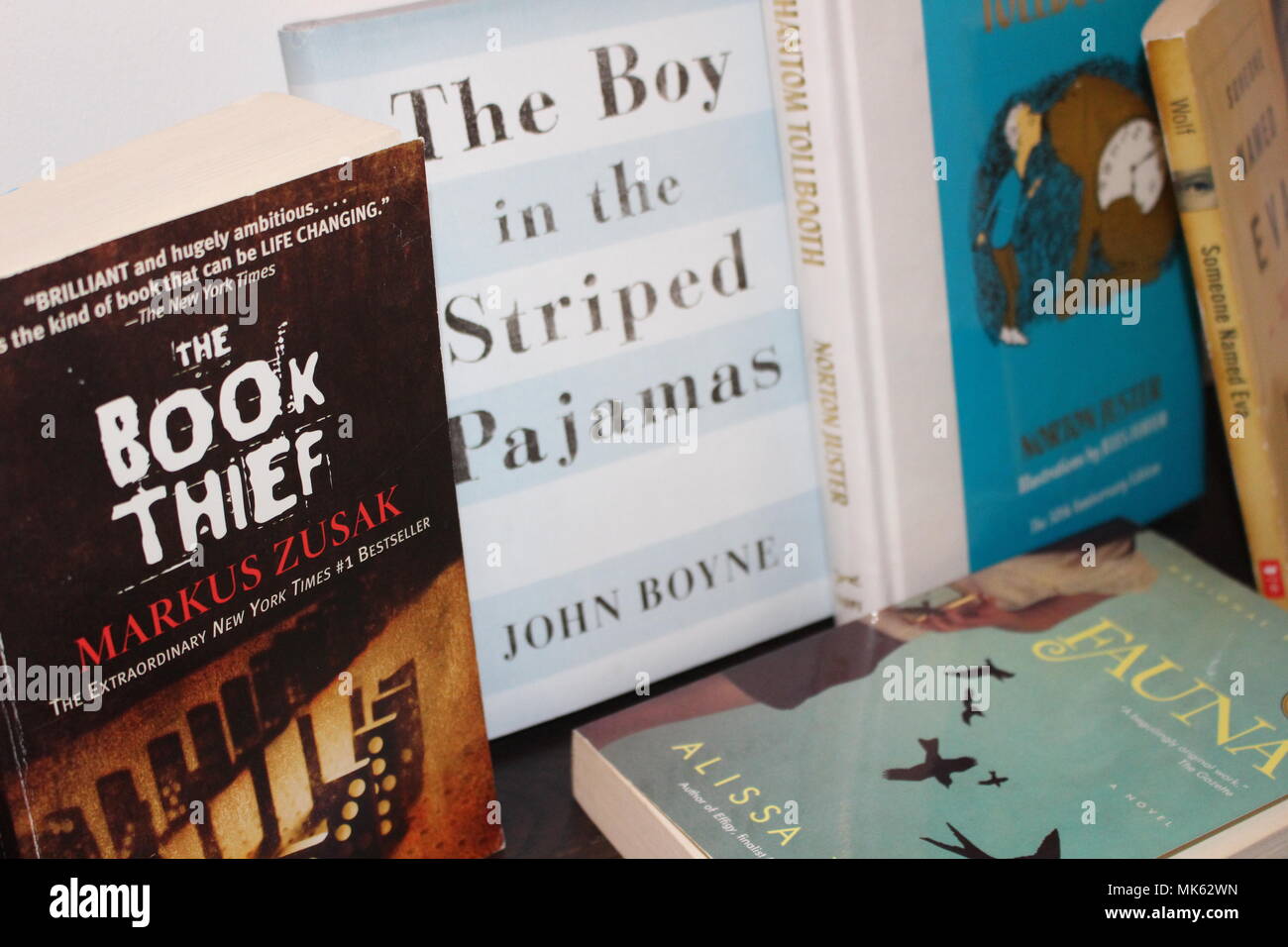 The Boy In The Striped Pajamas Book Quotes