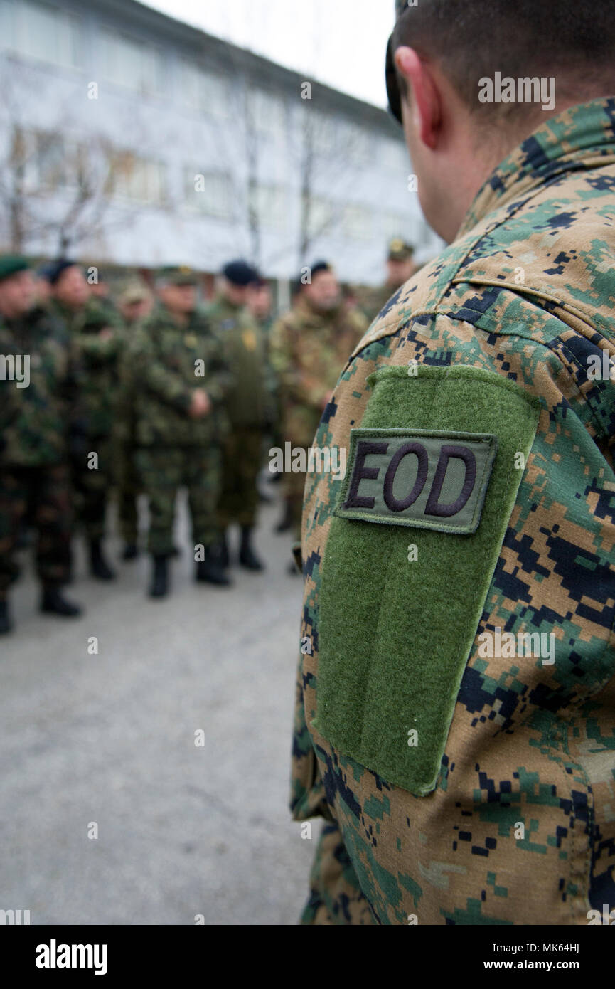 The Armed Forces of Bosnia and Herzegovina demining battalion ...