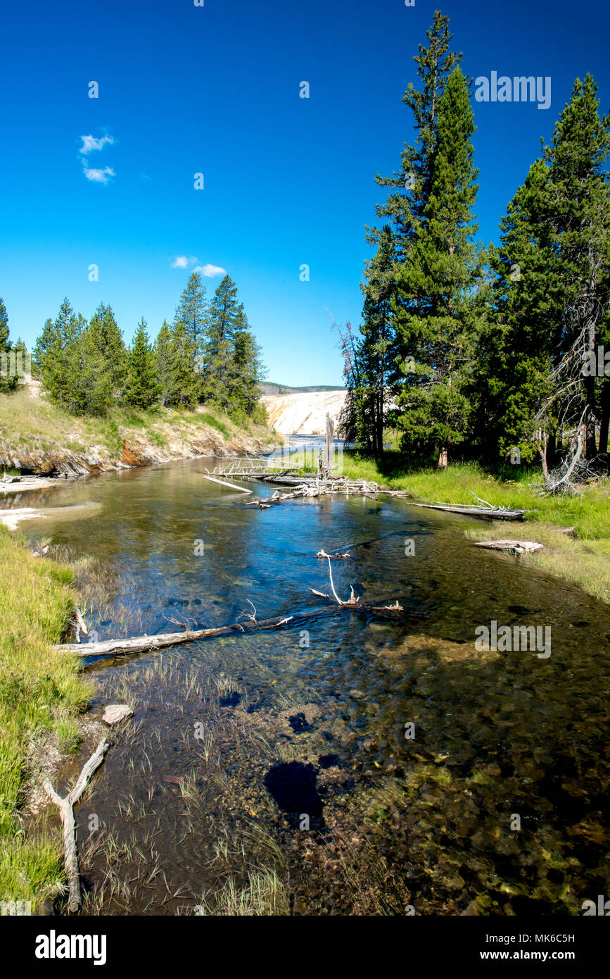 Banks of trees hi-res stock photography and images - Alamy