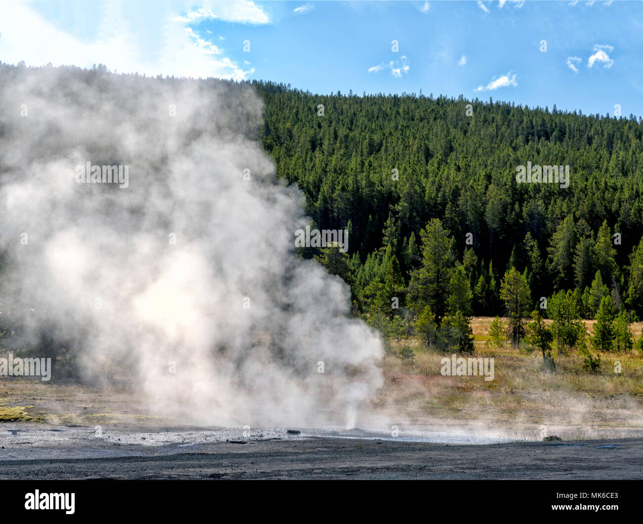 Steam rising up off the hot river next too hillside with green forest ...