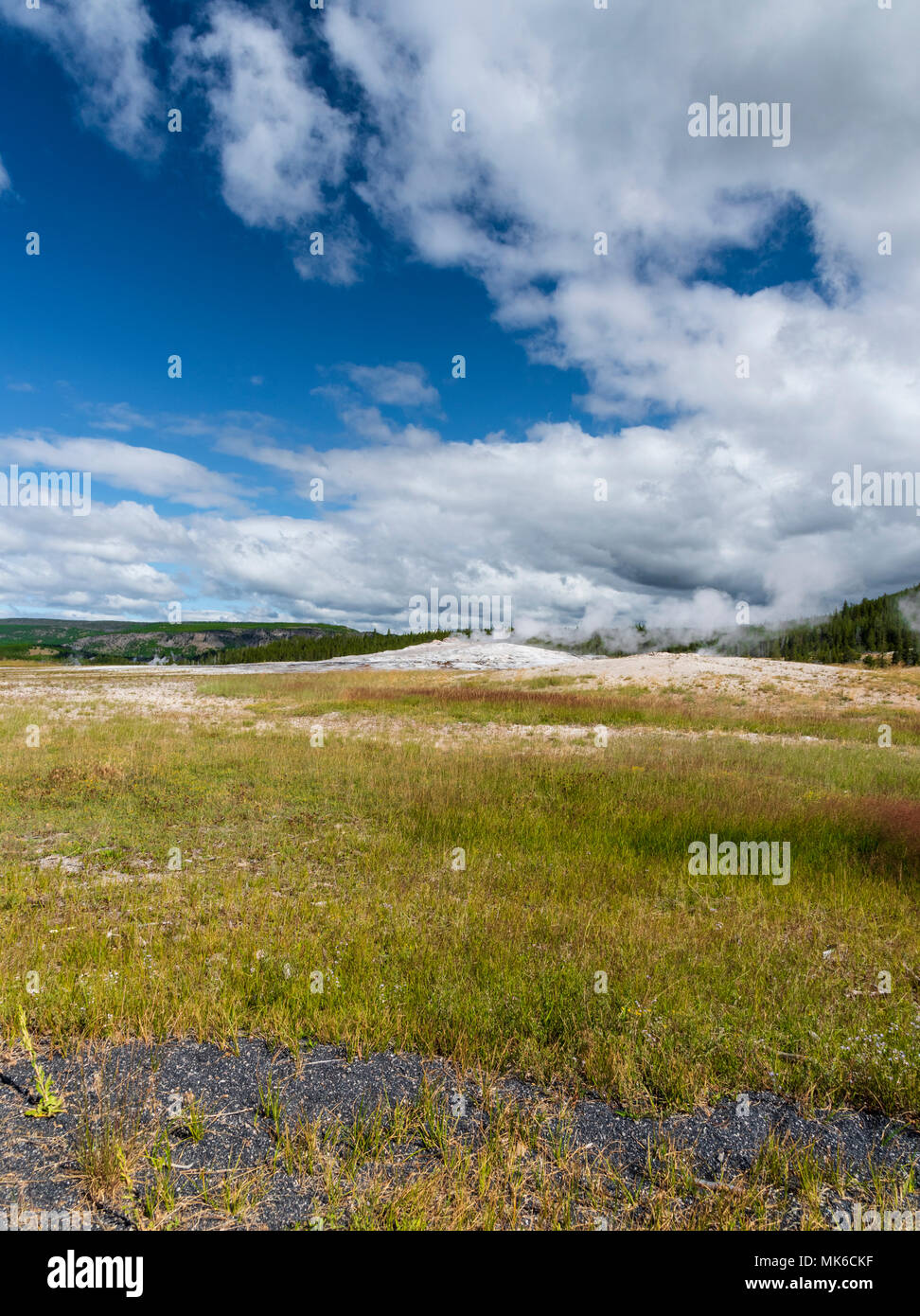 Vertical image of open grassland under blue sky with white fluffy ...