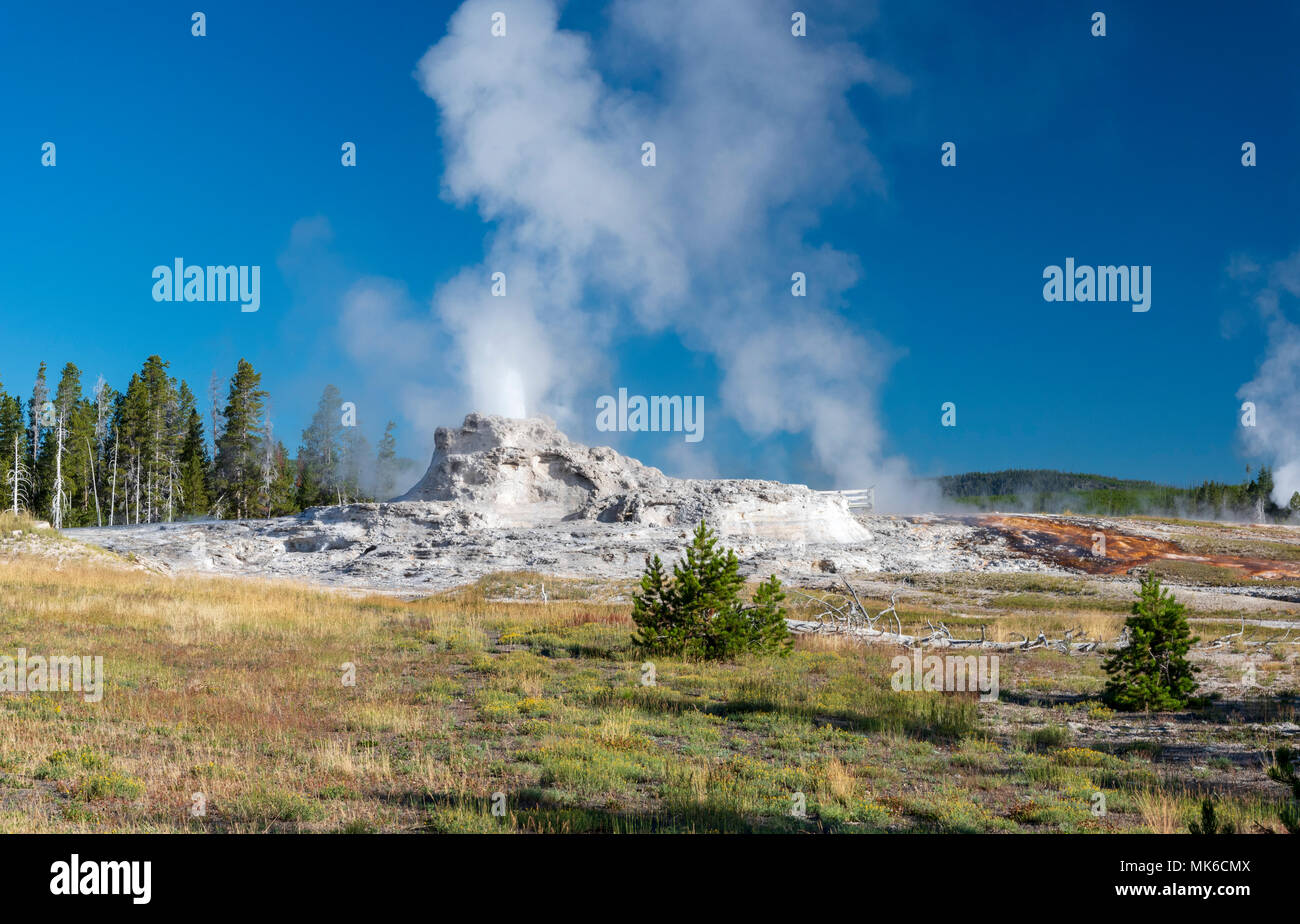 Geothermal geysers erupting with steam rising into air forming steam ...