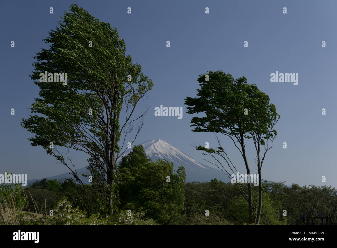 Mount Fuji in Storm Stock Photo - Alamy