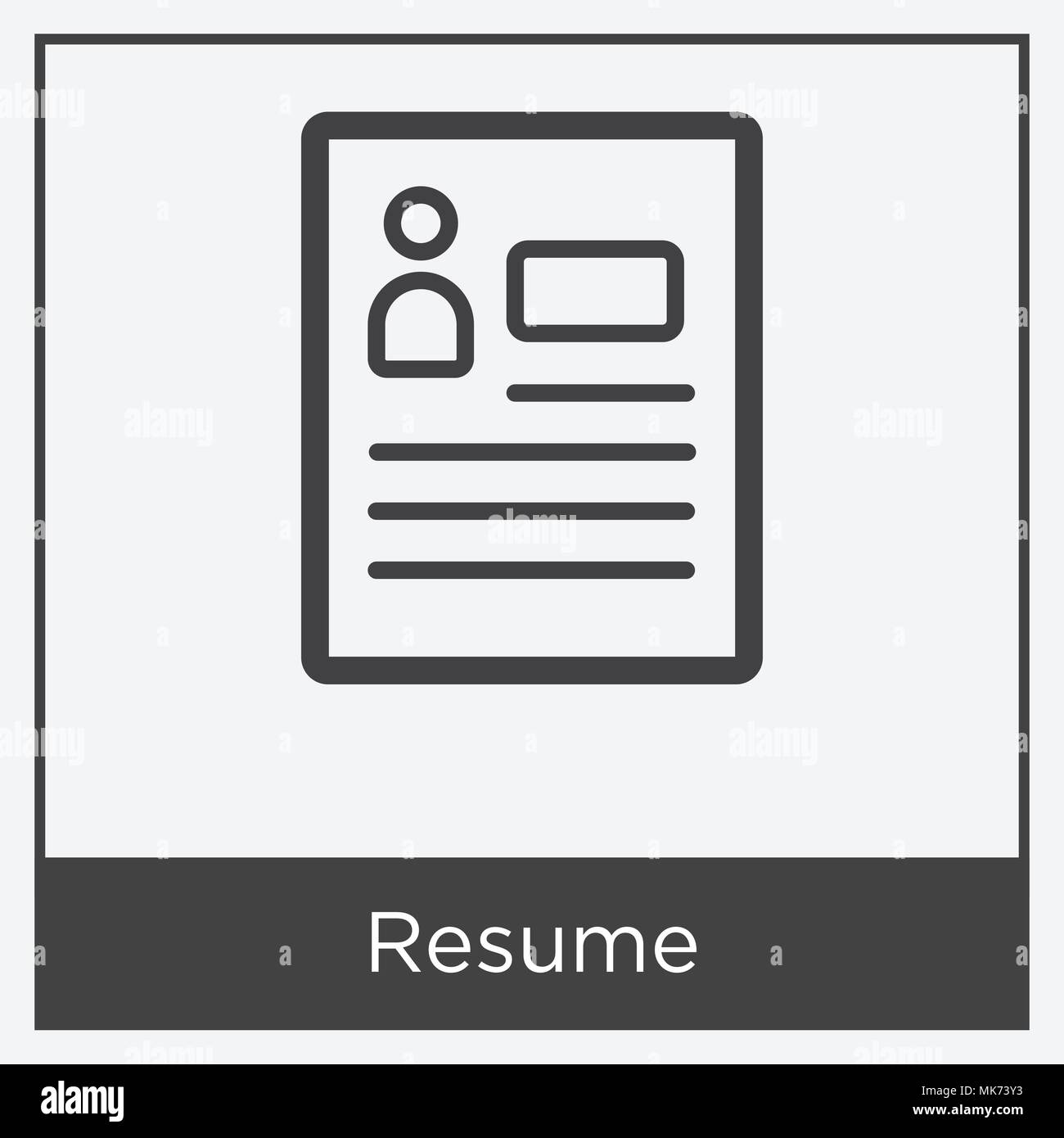 Resume icon isolated on white background with gray frame, sign and ...