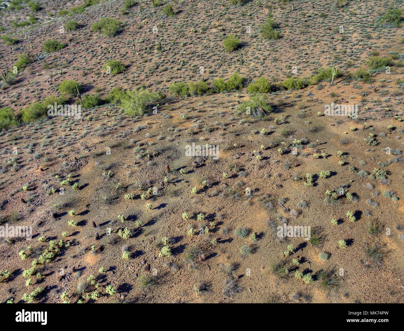 The Arizona desert taken in winter when its cooler out Stock Photo - Alamy