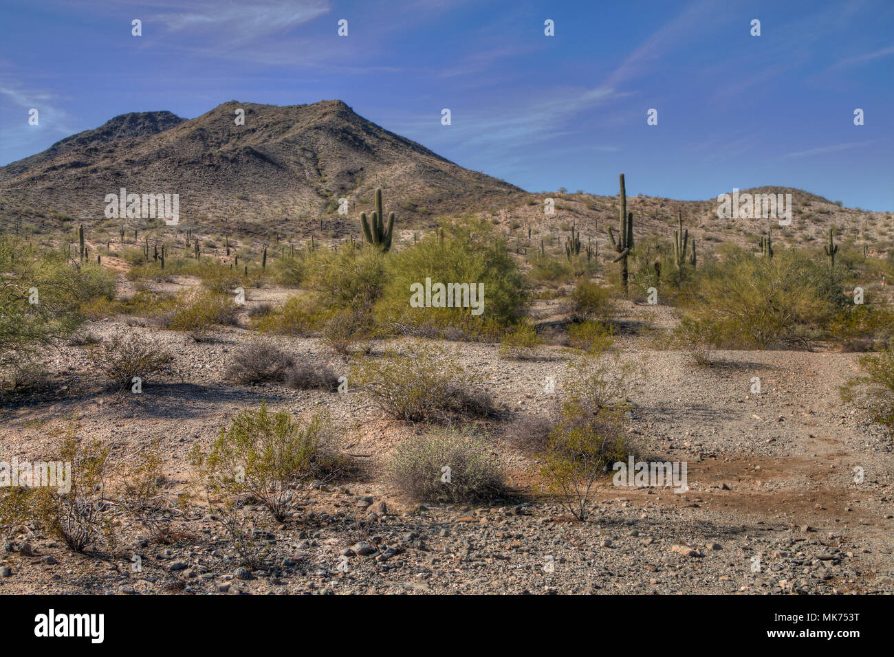 The Arizona desert taken in winter when its cooler out Stock Photo - Alamy