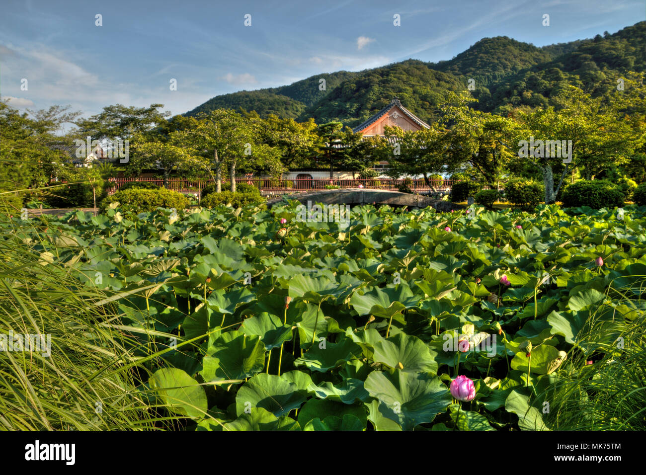 Tenryu-ji is a Historic Temple in the Japanese City of Kyoto Stock ...