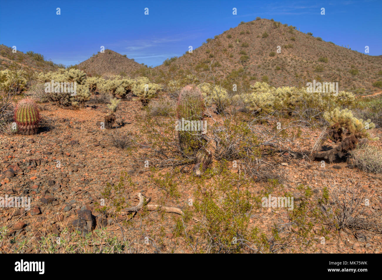 The Arizona desert taken in winter when its cooler out Stock Photo - Alamy