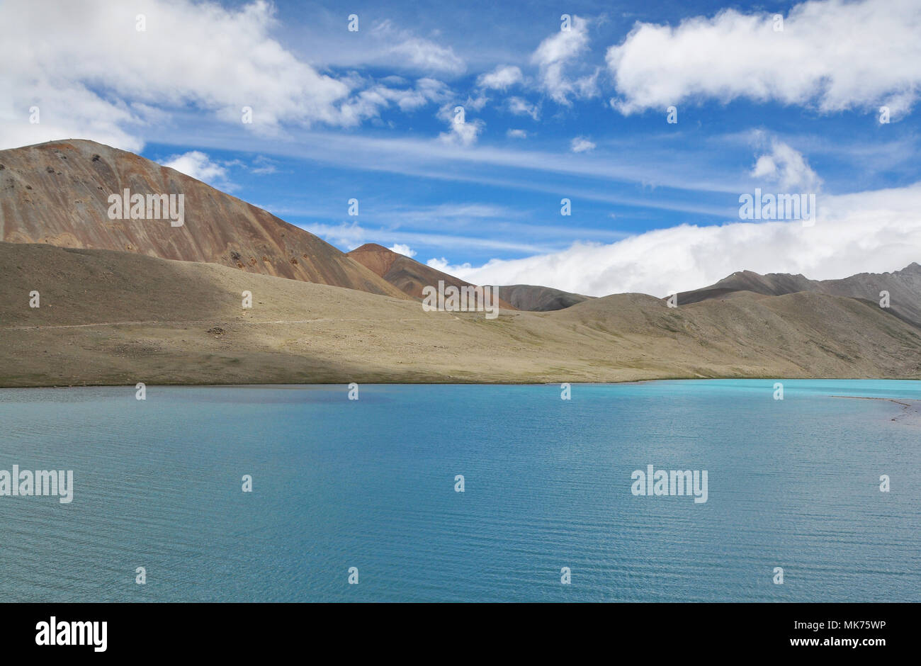 Sikkim tree hi-res stock photography and images - Alamy