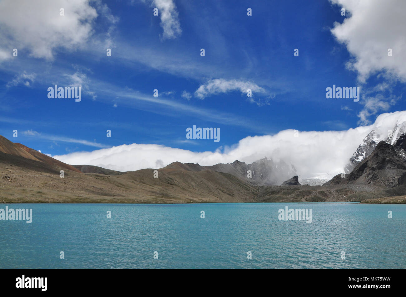 Sikkim Tree High Resolution Stock Photography and Images - Alamy