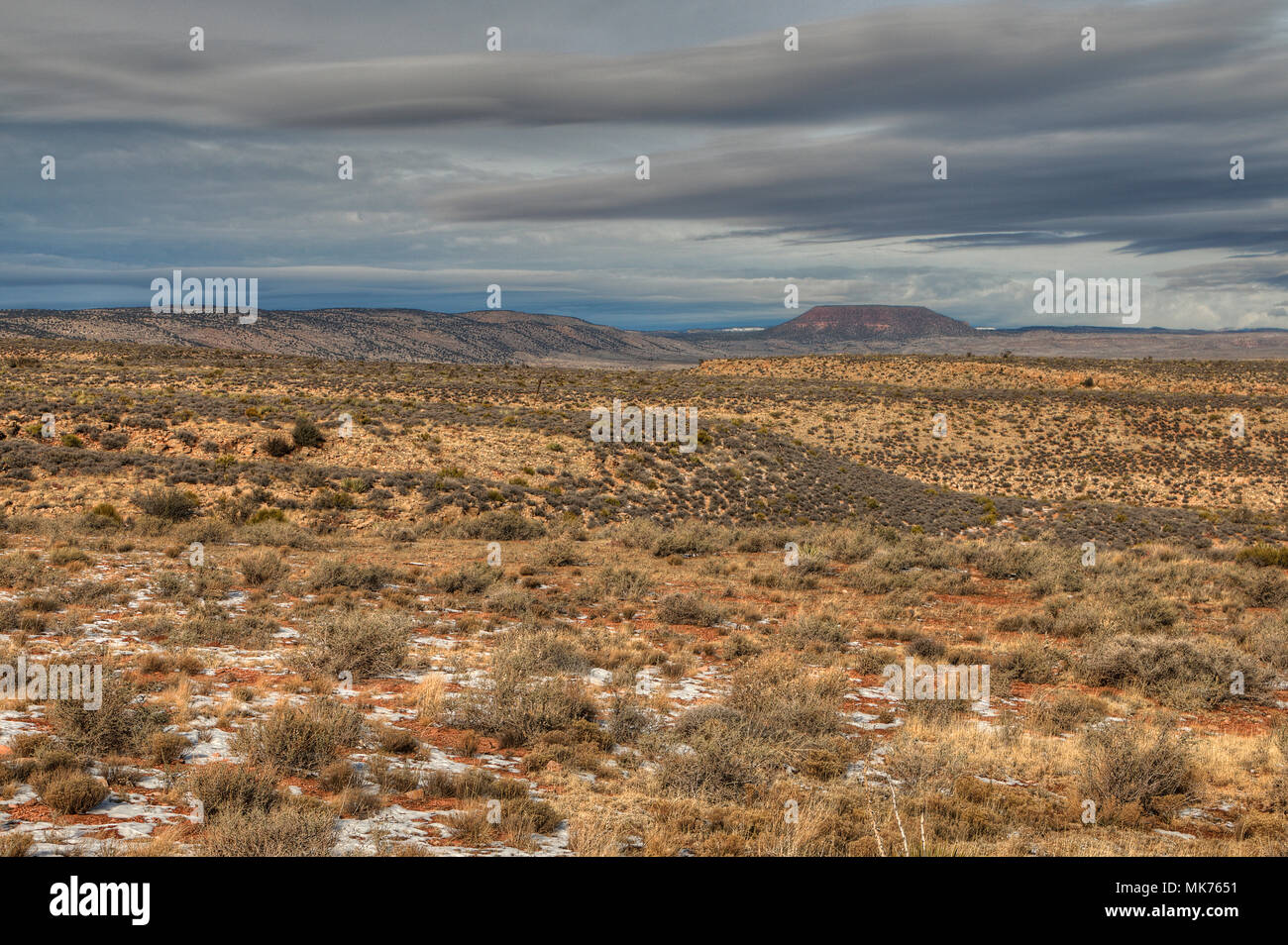 The Arizona desert taken in winter when its cooler out Stock Photo - Alamy