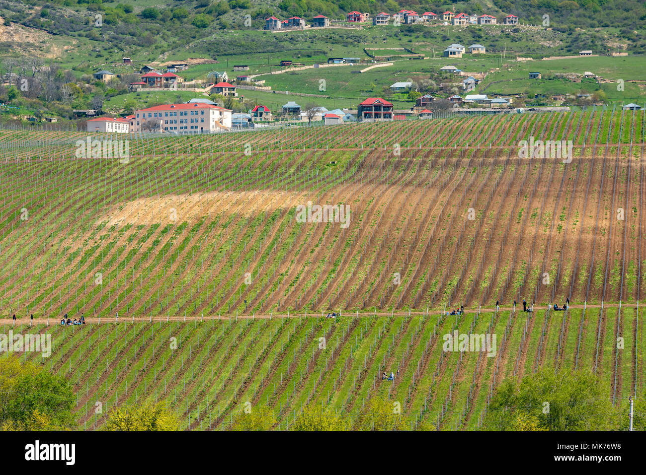 Azerbaijan farm hi-res stock photography and images - Alamy