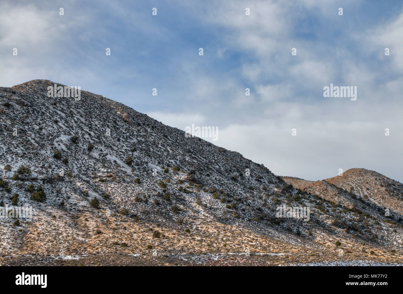 The Arizona desert taken in winter when its cooler out Stock Photo - Alamy