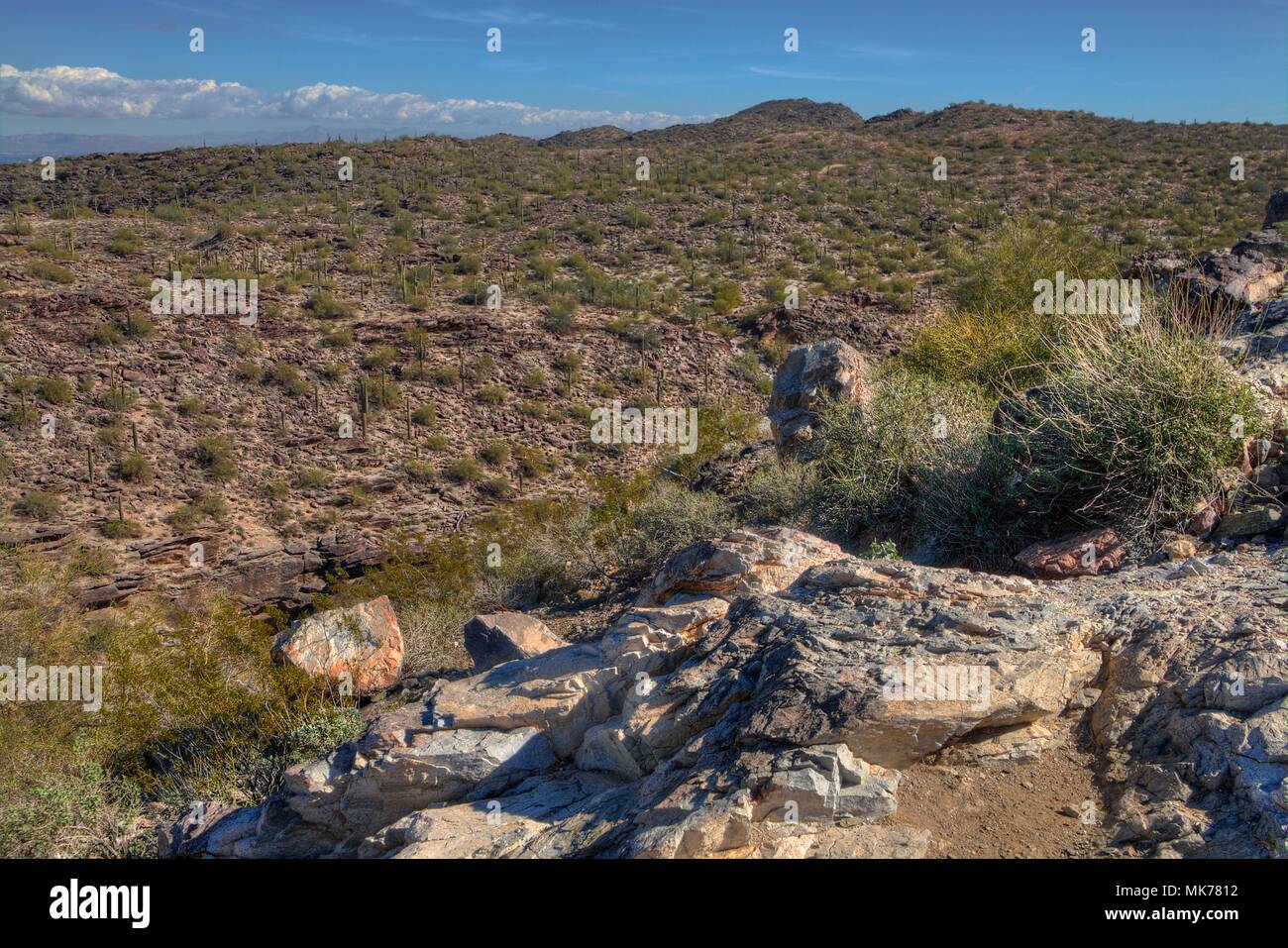 The Arizona desert taken in winter when its cooler out Stock Photo - Alamy
