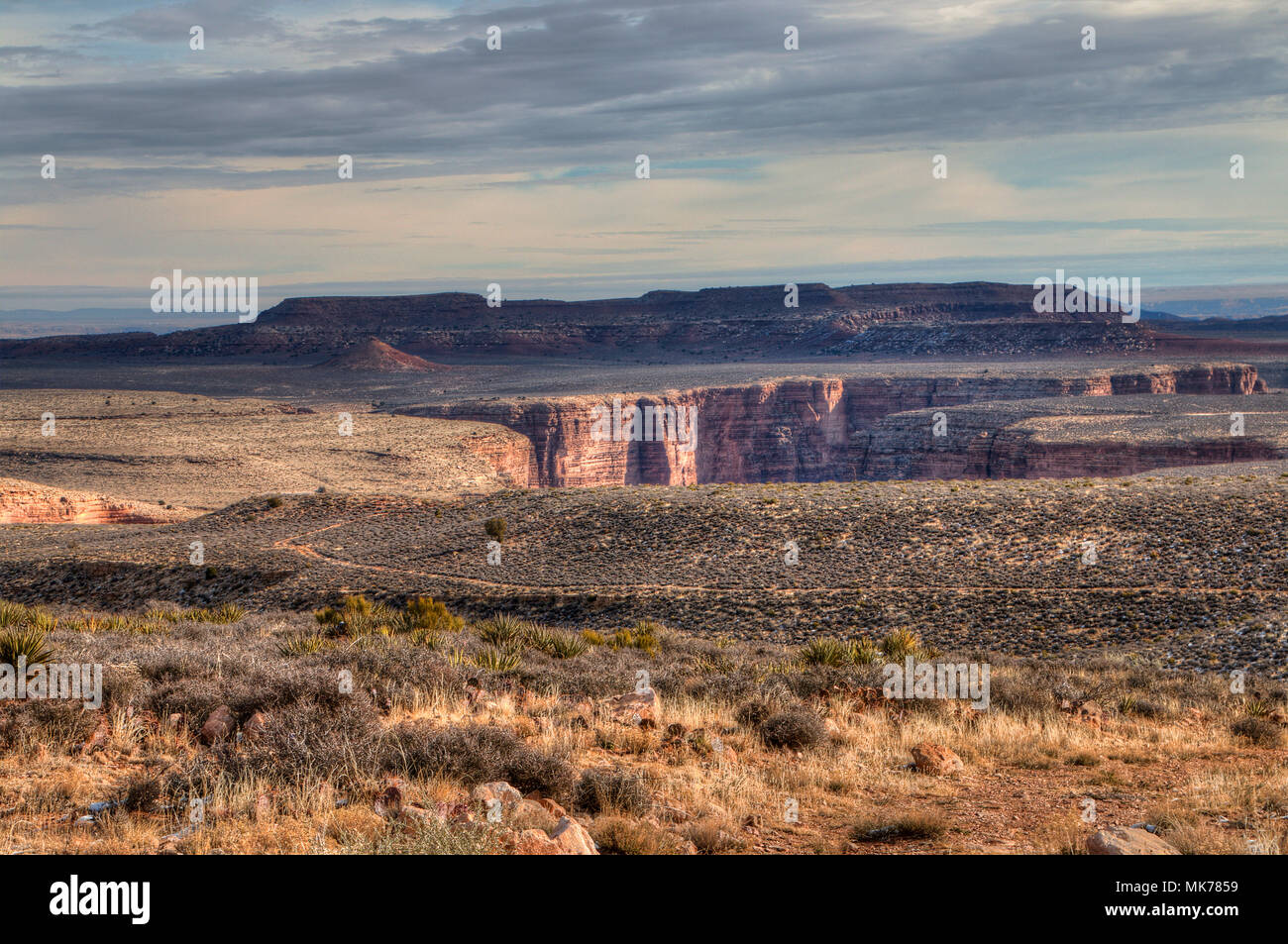 The Arizona desert taken in winter when its cooler out Stock Photo - Alamy