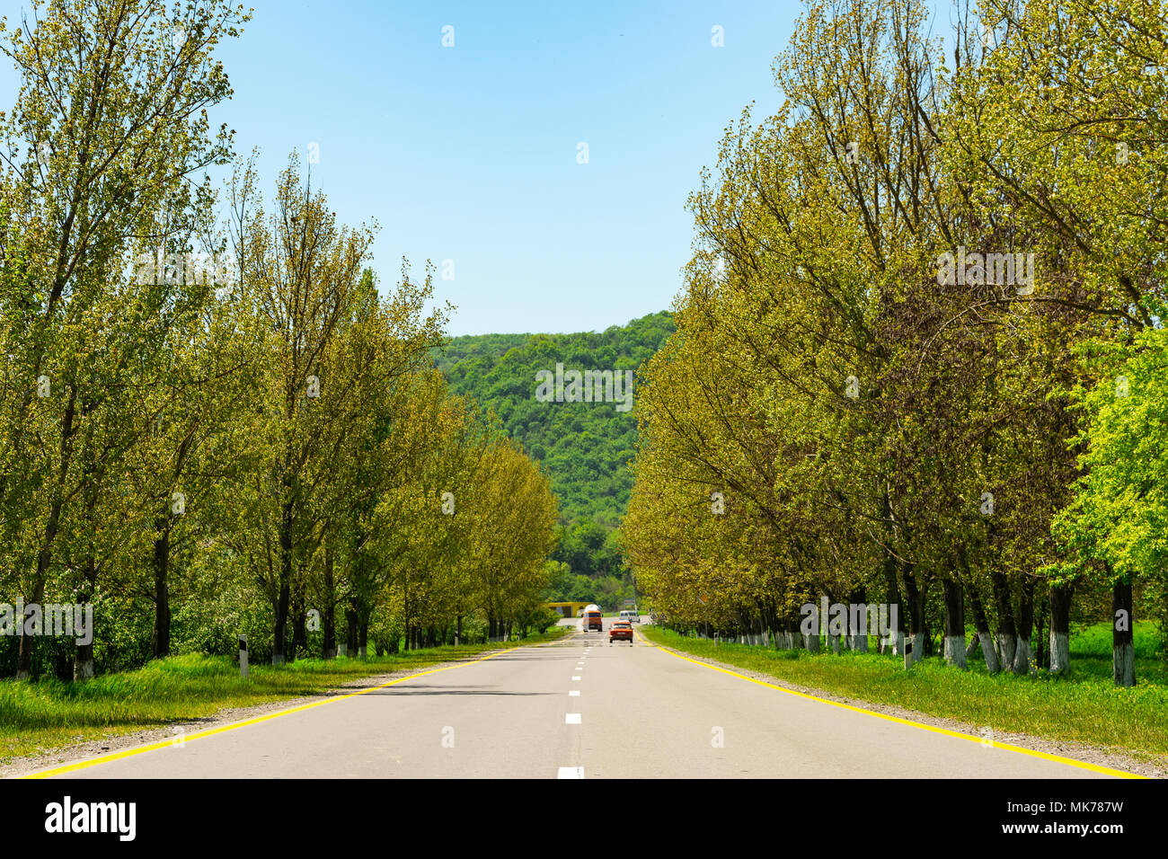 Road between the green trees Stock Photo - Alamy